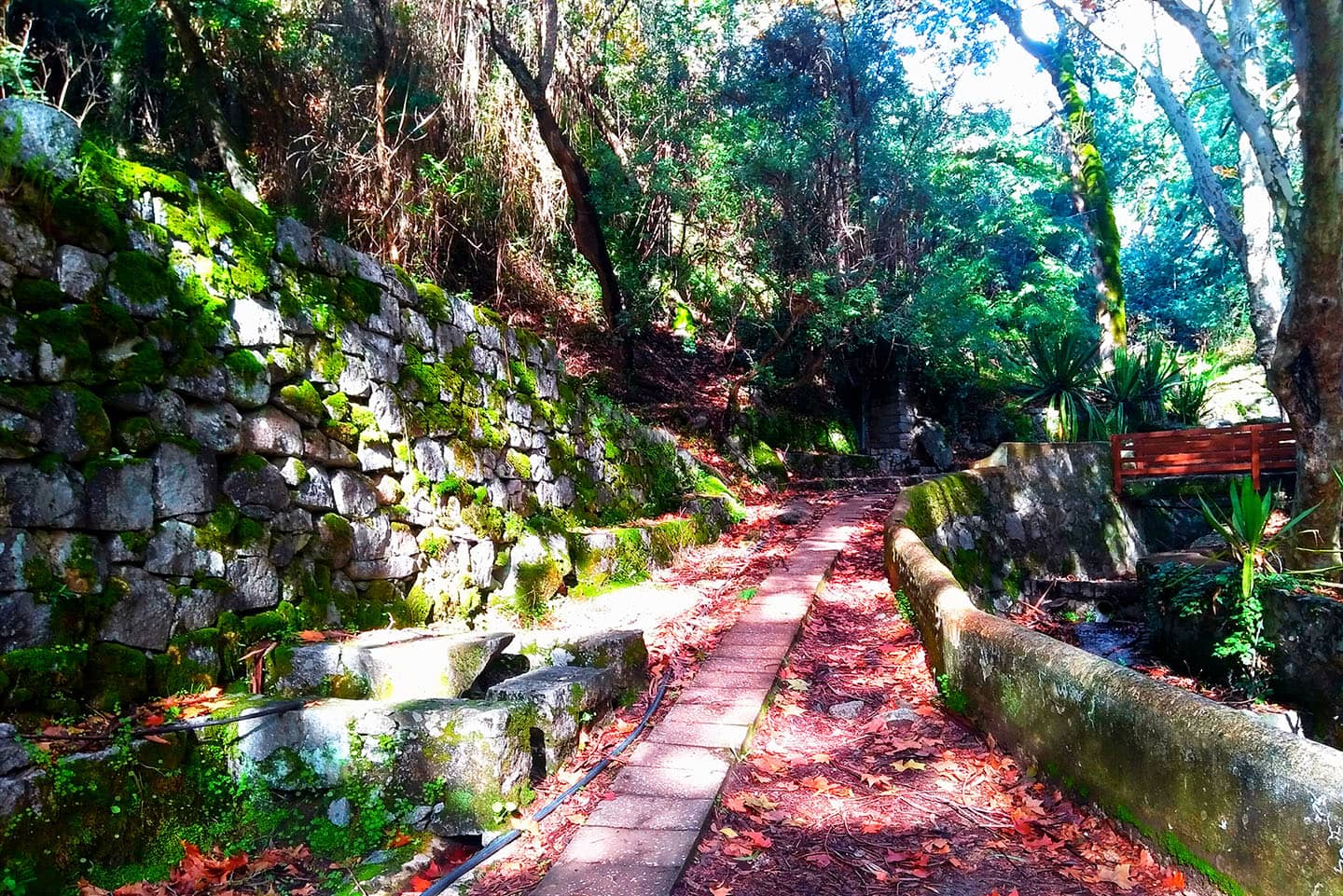 Visit Monchique Mountains